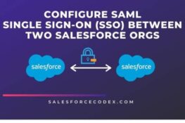 Optimize Salesforce Reports and Dashboard | SalesforceCodex